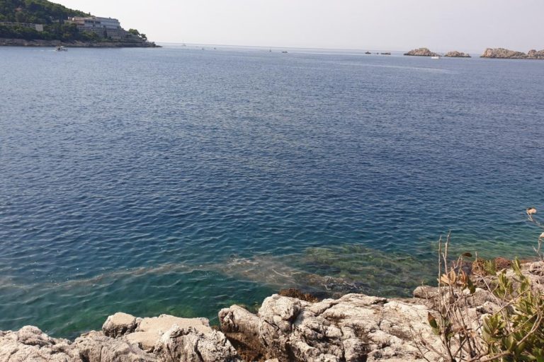 ZAVOD O PJENI NA PLAŽAMA To je prirodna pojava cvjetanja mora, nema ...